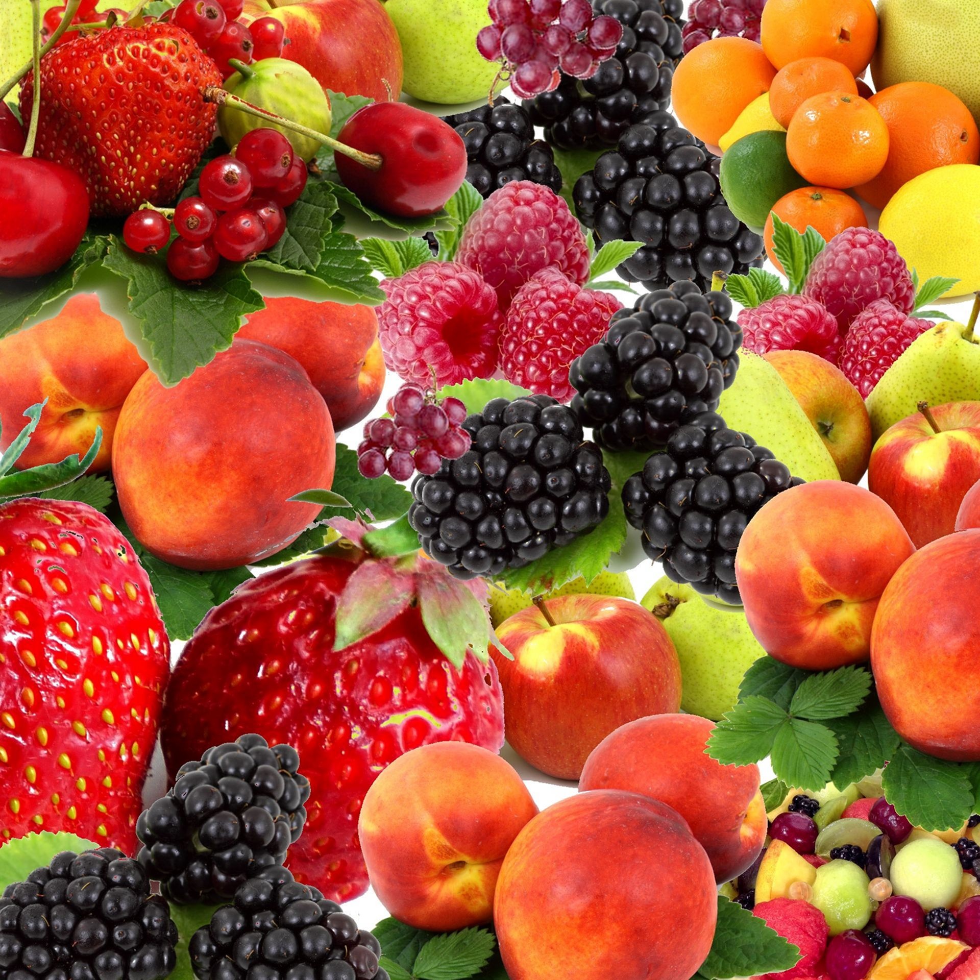 How to Detox from Obesogens | GARDEN OF ESSENCES